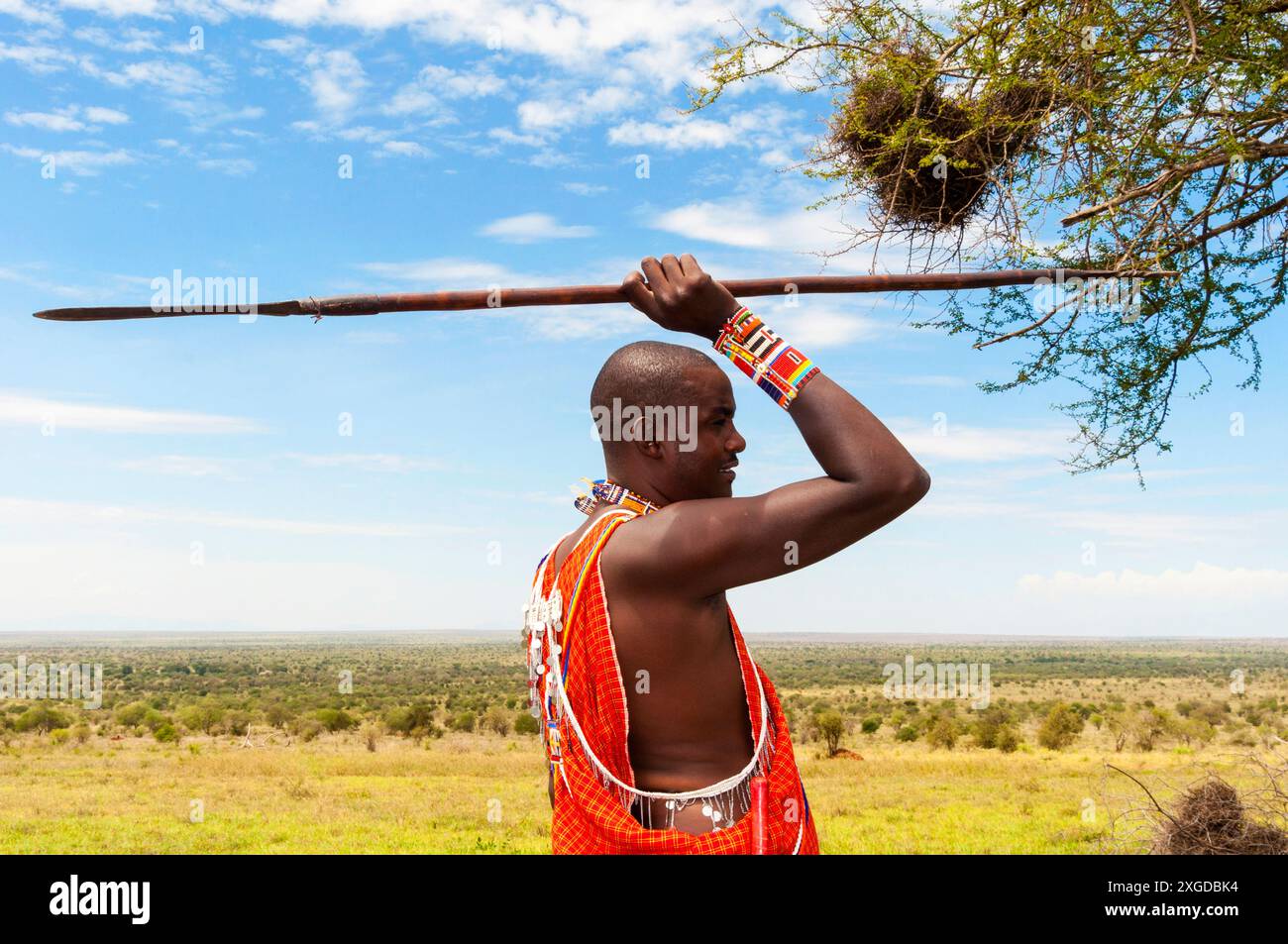 Maasai with spear in the bush, Lualenyi ranch, Mwatate, Kenya, East ...