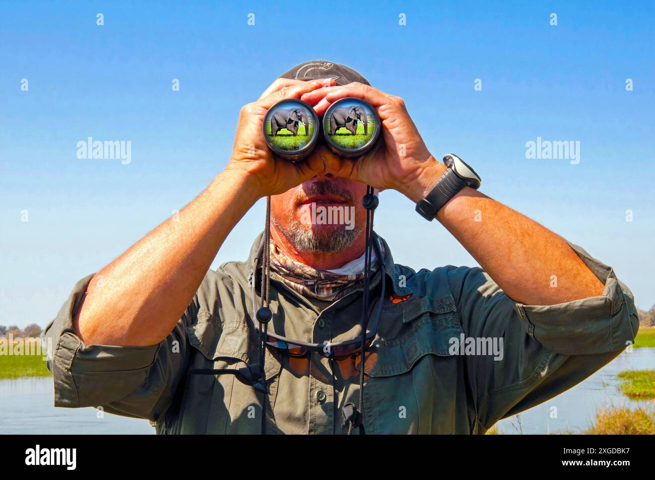 Safari guide watching an elephant hi-res stock photography and images ...
