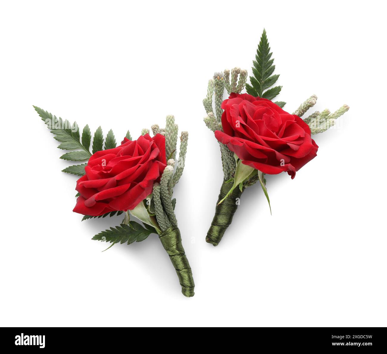 Top view two flower Cut Out Stock Images & Pictures - Alamy