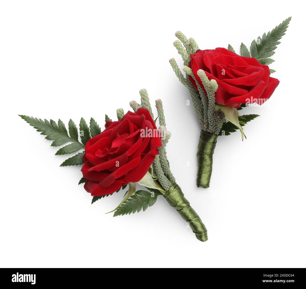 Top view two flower Cut Out Stock Images & Pictures - Alamy
