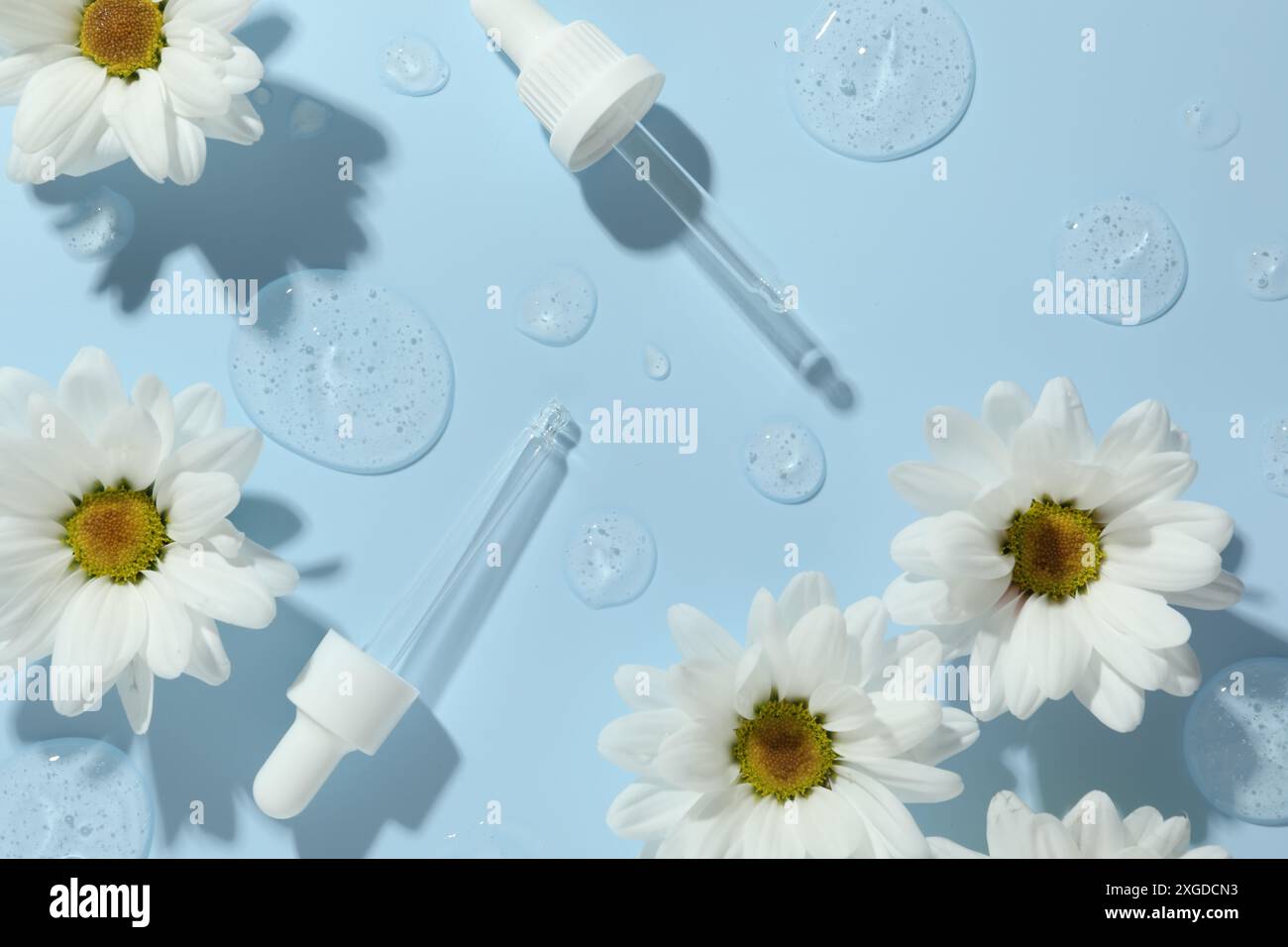 Beautiful daisy flowers, pipettes and drops of cosmetic serum on light ...