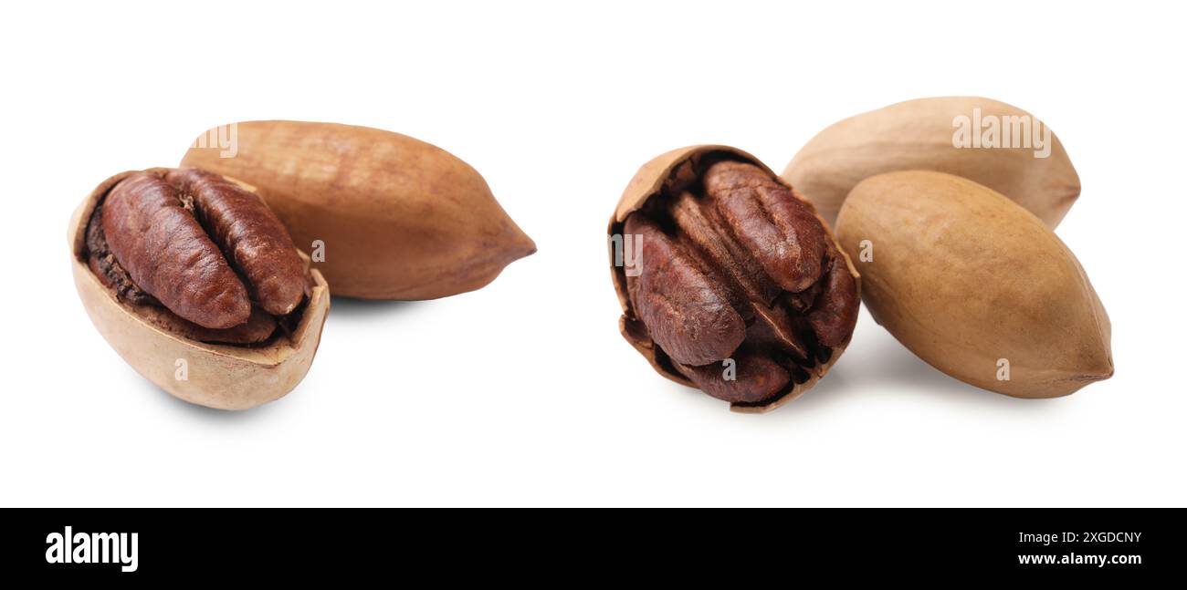 Many pecan nuts with shell isolated on white, set Stock Photo - Alamy
