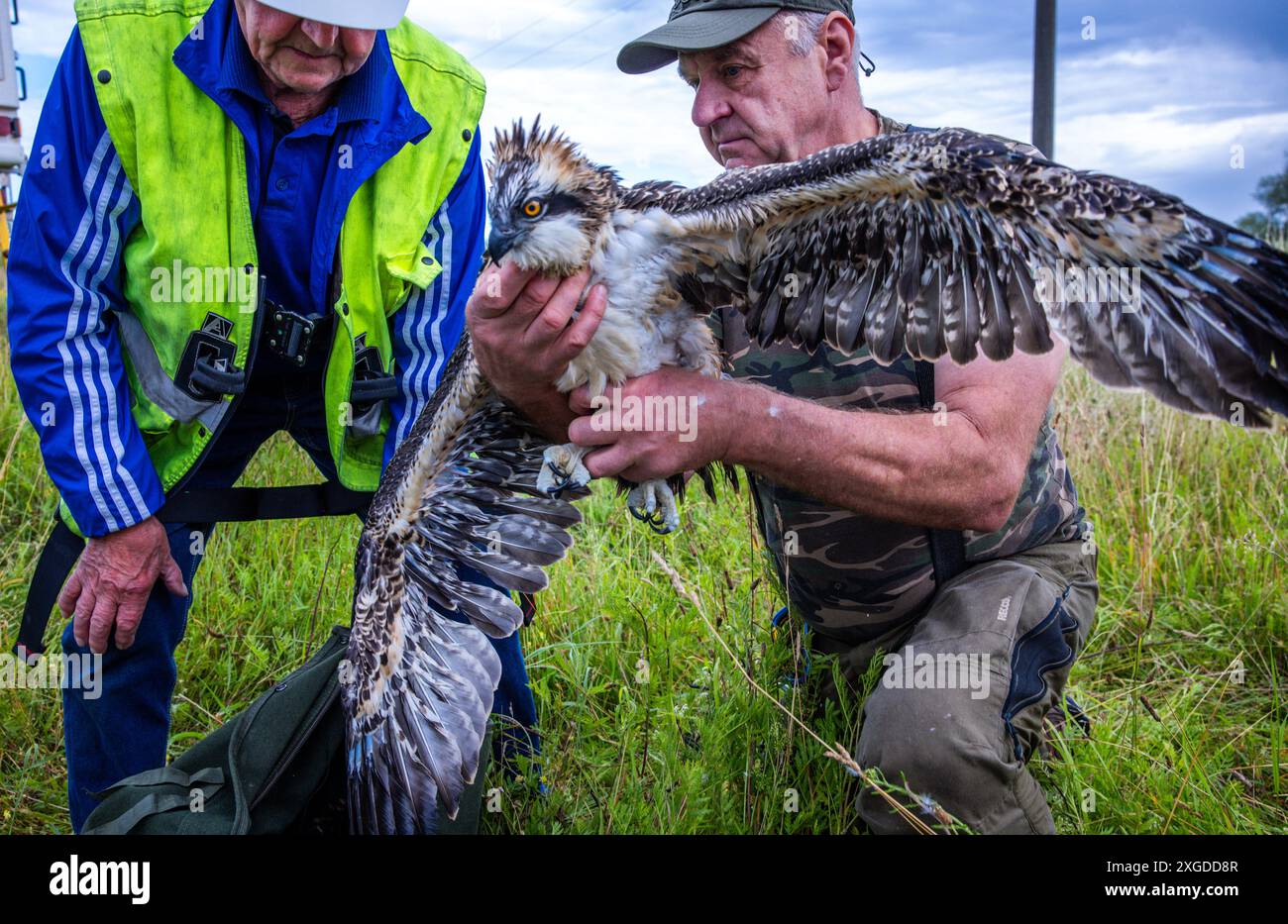 Rudolf langer hi-res stock photography and images - Alamy