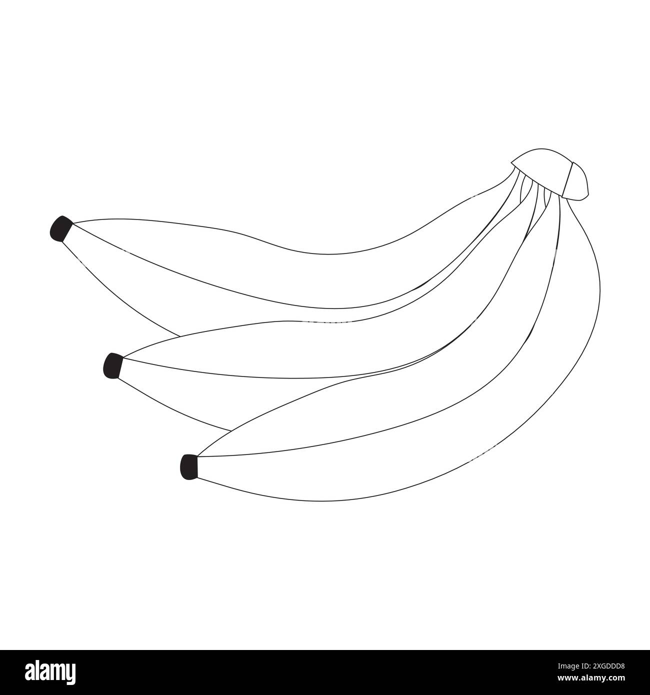 Banana black outline and silhouette icon design vector illustration ...
