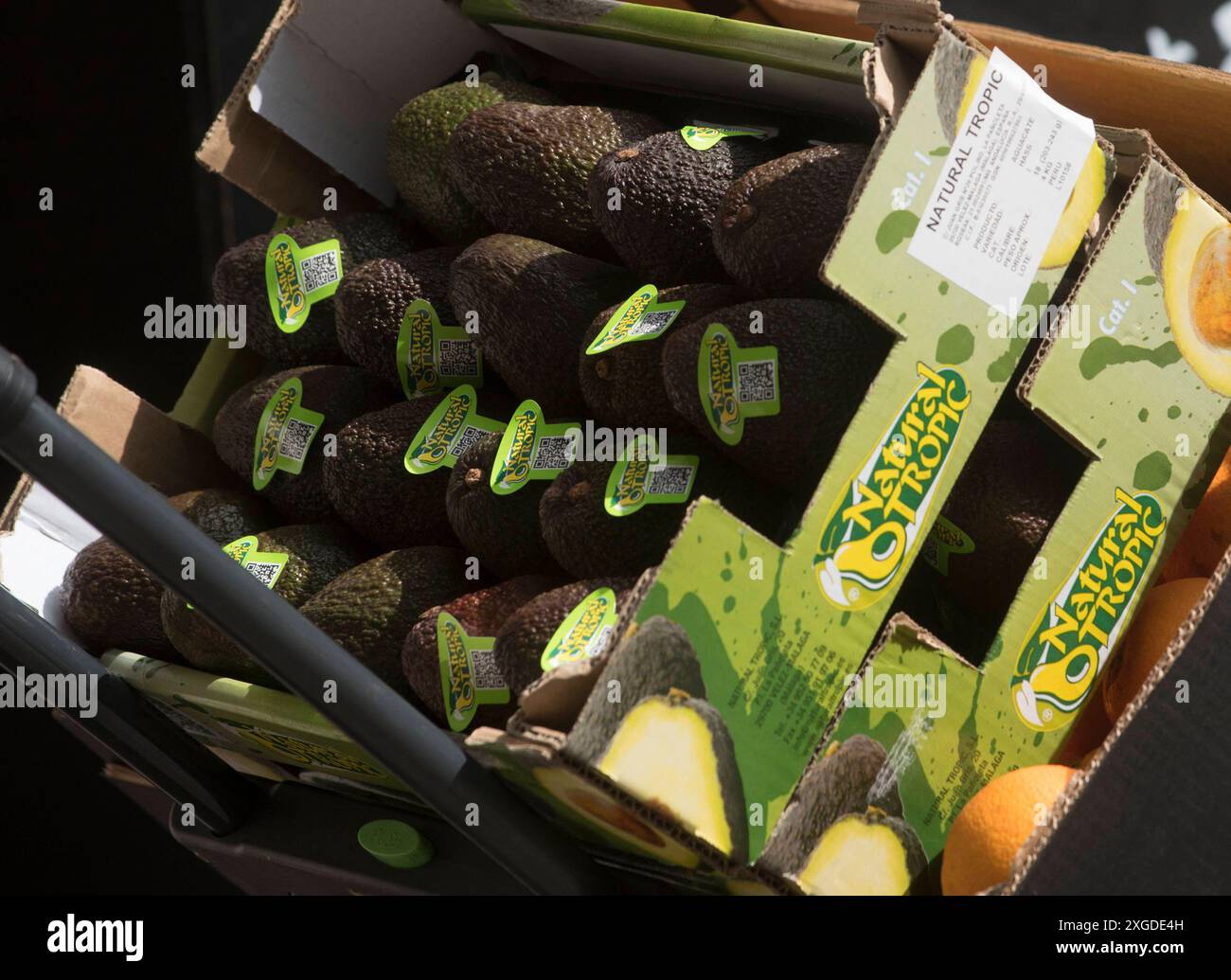 harvesting the fruits of agriculture and gardening harvesting the ...