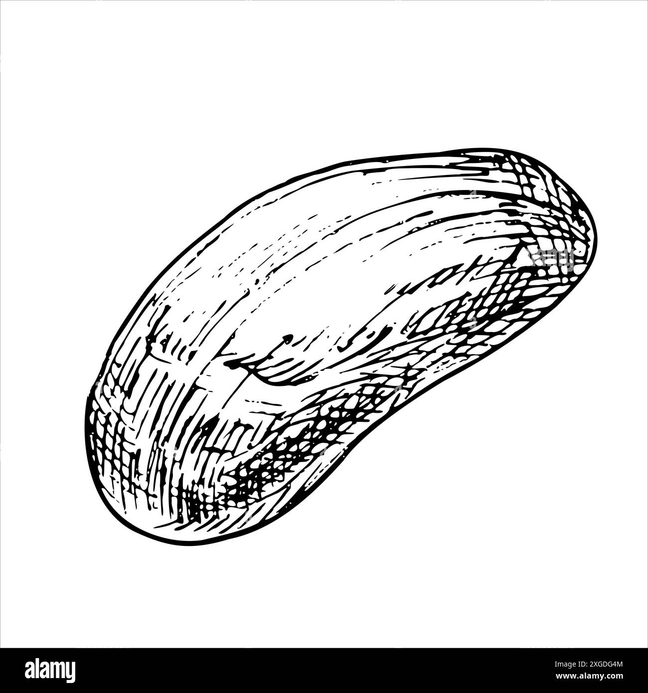 Without shells Black and White Stock Photos & Images - Alamy