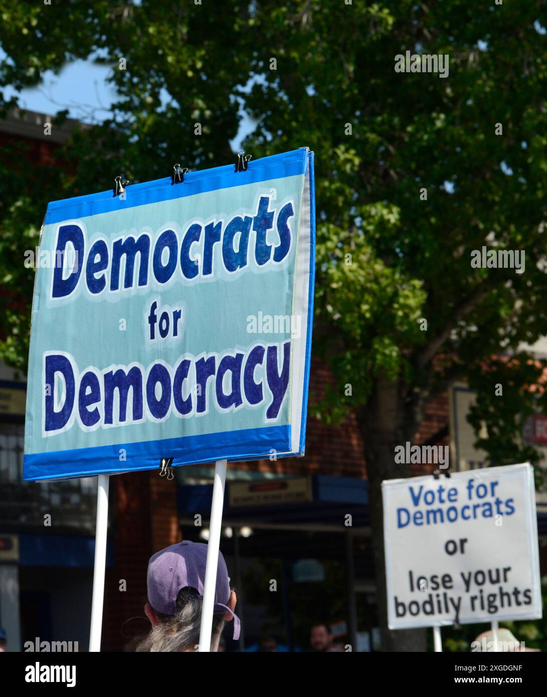 American Democratic Party supporters with signs march in a 2024 Fourth ...