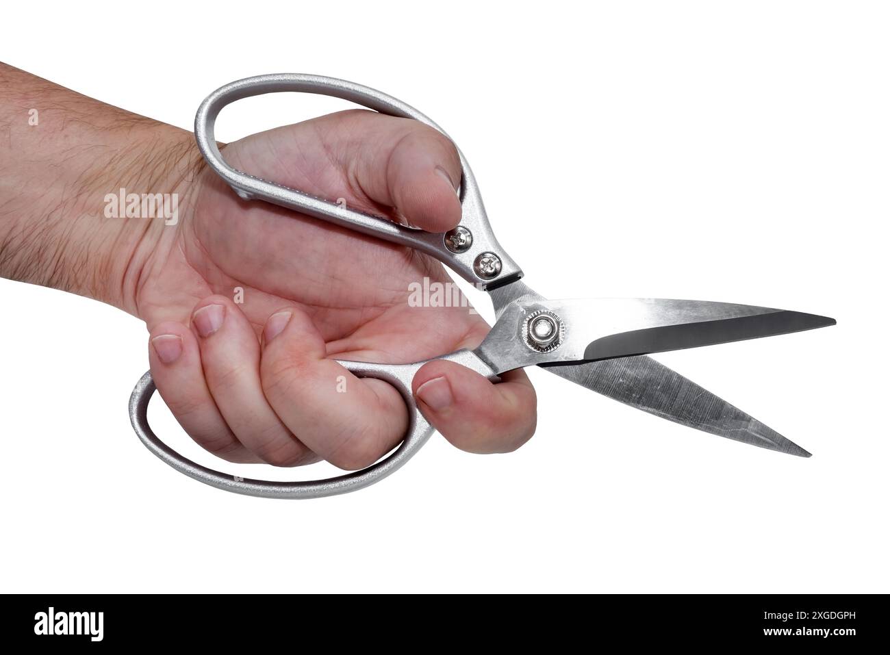 A man's hand holds steel scissors on a white background. Tailor's hand ...