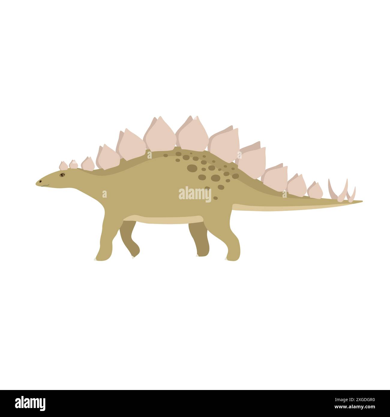 Vector flat hand drawn stegosaurus dinosaur Stock Vector Image & Art ...