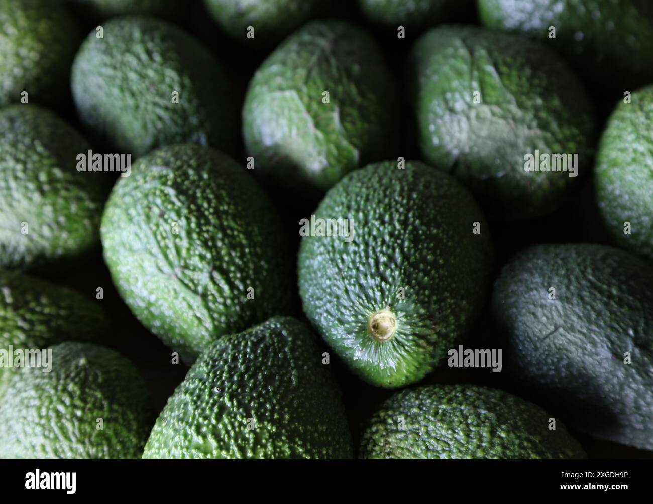 Close up organic hass hi-res stock photography and images - Alamy