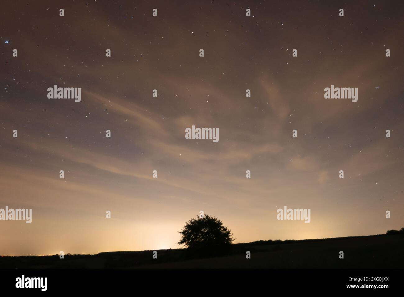 Light lit tree silhouette hi-res stock photography and images - Alamy