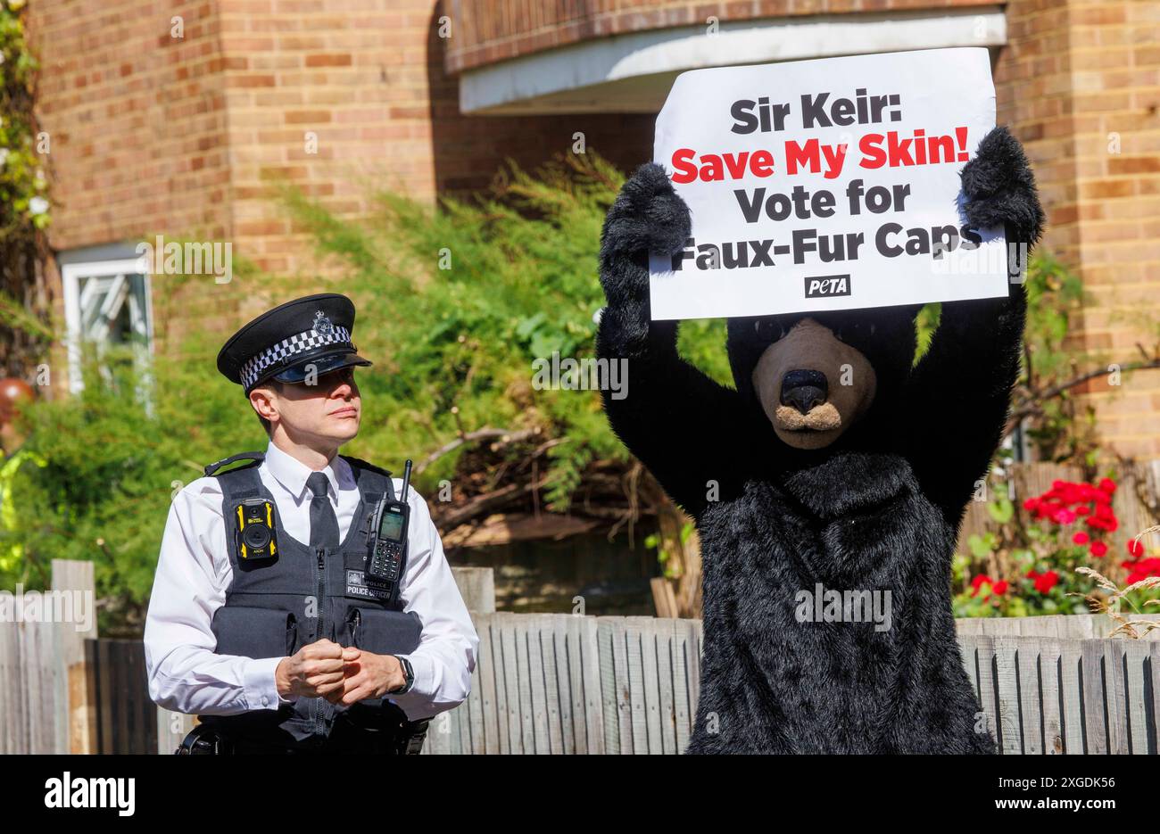 An anti-fur Peta protestor dressed as a bear outside the polling ...