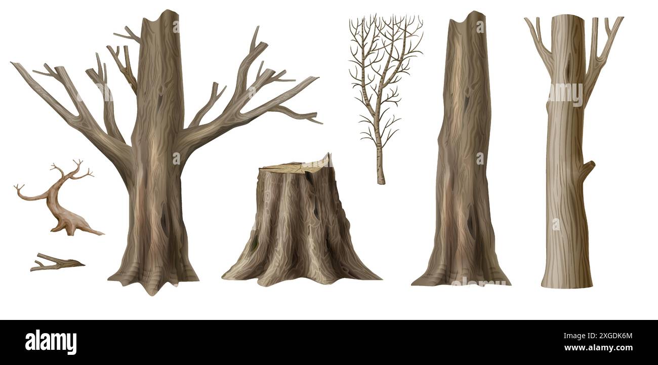 Mangrove dry Stock Vector Images - Alamy