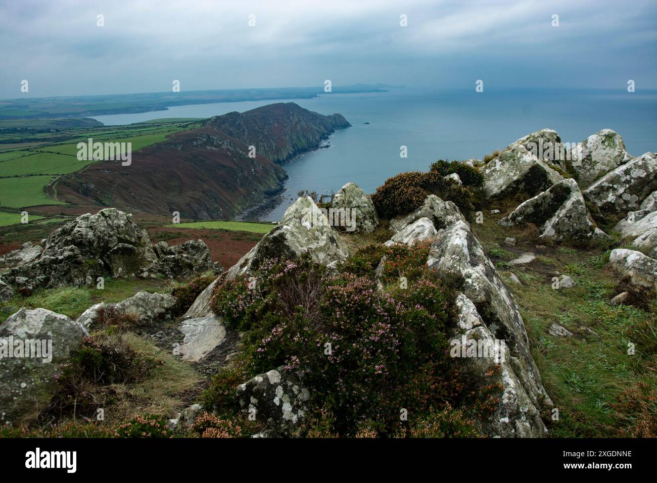 Klippen pembrokeshire hi-res stock photography and images - Alamy