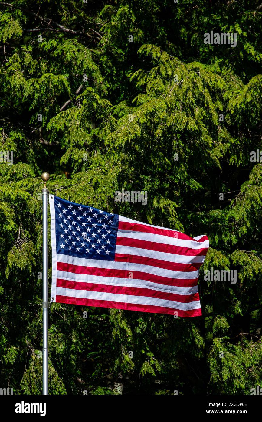 Flag in trees hi-res stock photography and images - Alamy