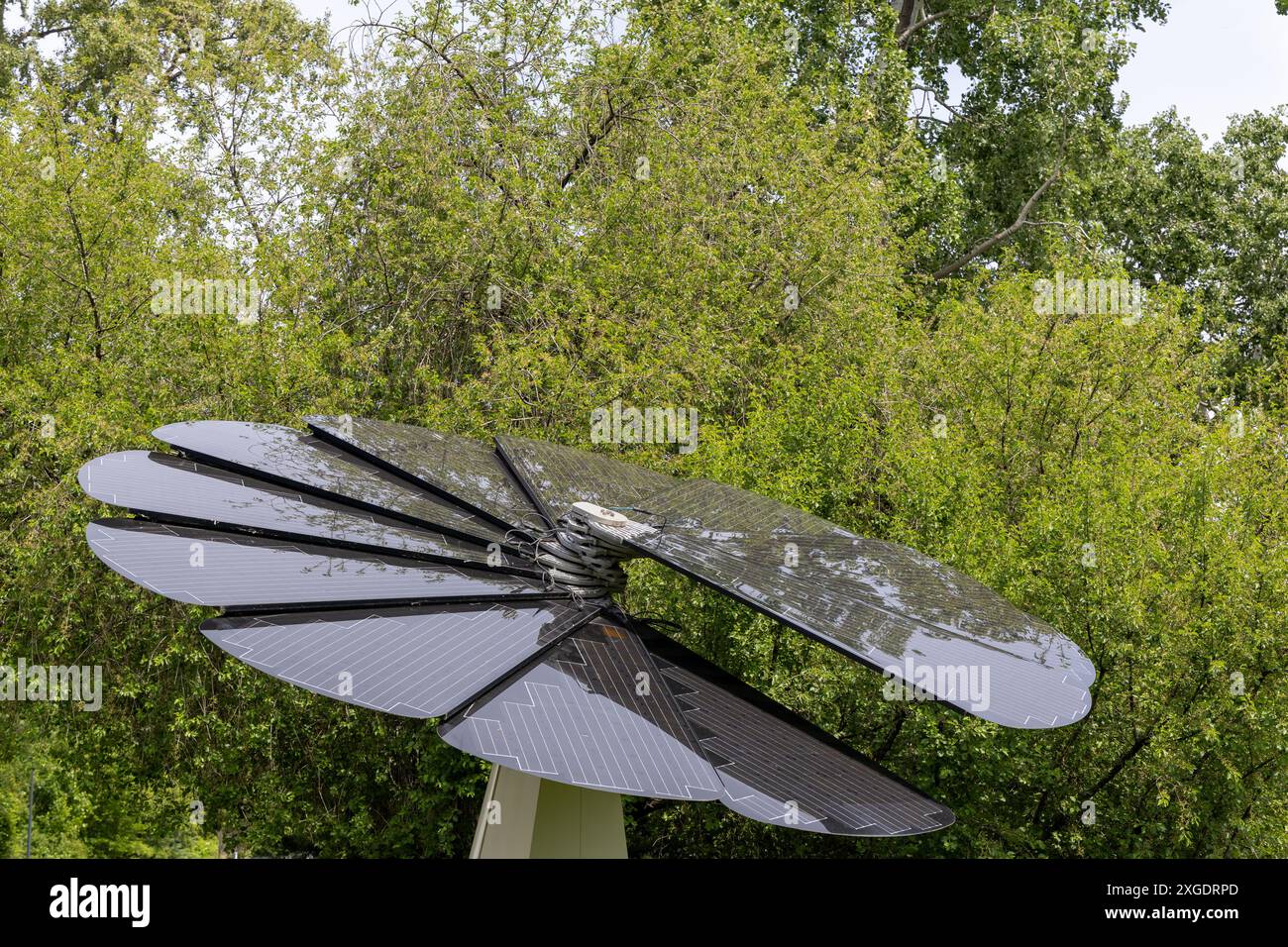 Solar panel shape flower hi-res stock photography and images - Alamy
