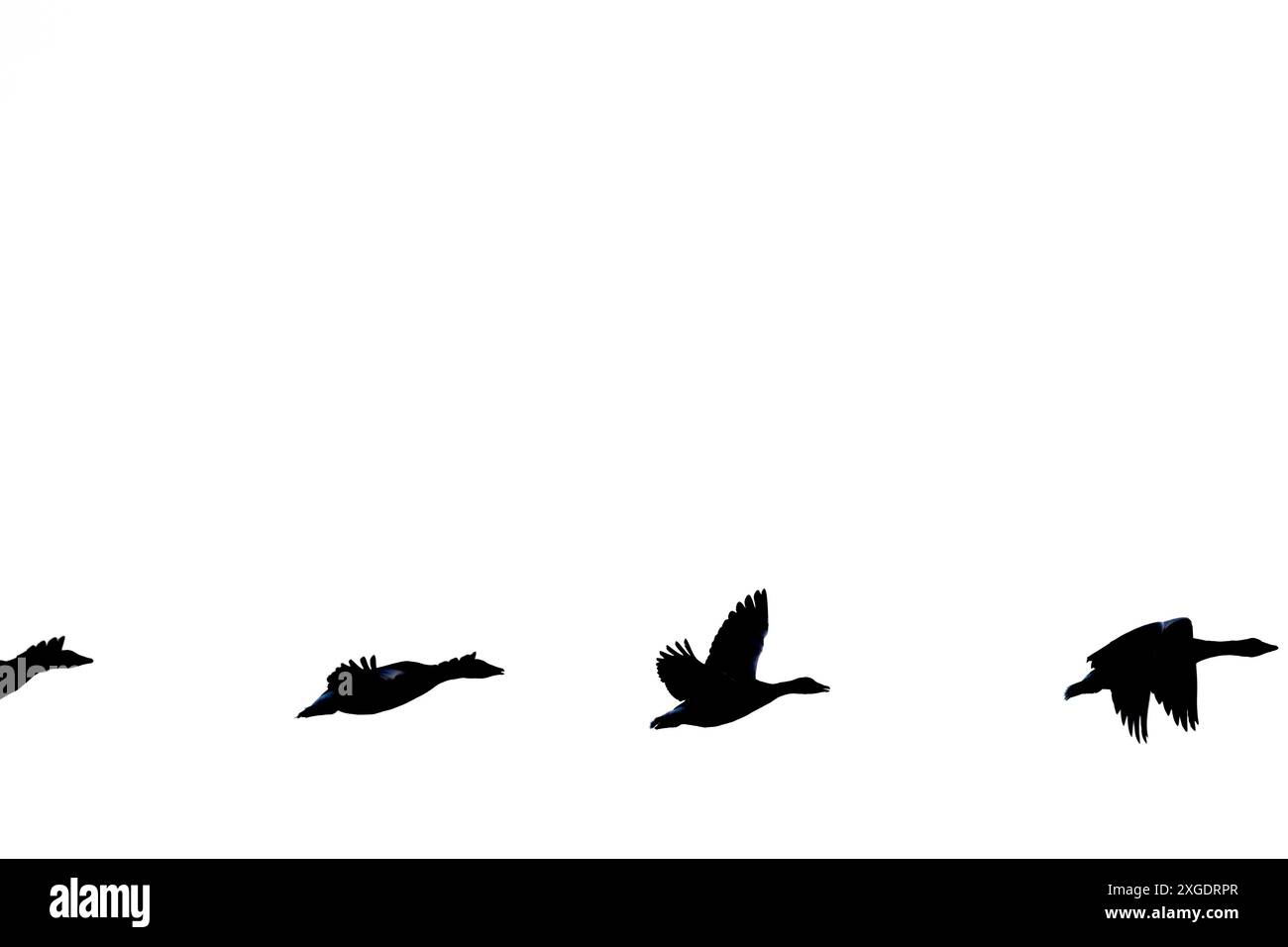 Bottom half of body hi-res stock photography and images - Alamy