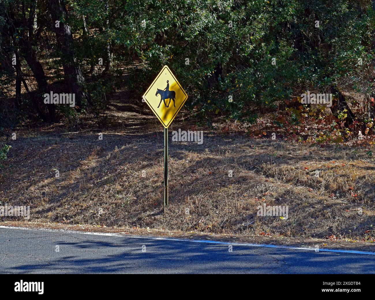 Yellow equestrian crossing sign yellow hi-res stock photography and ...
