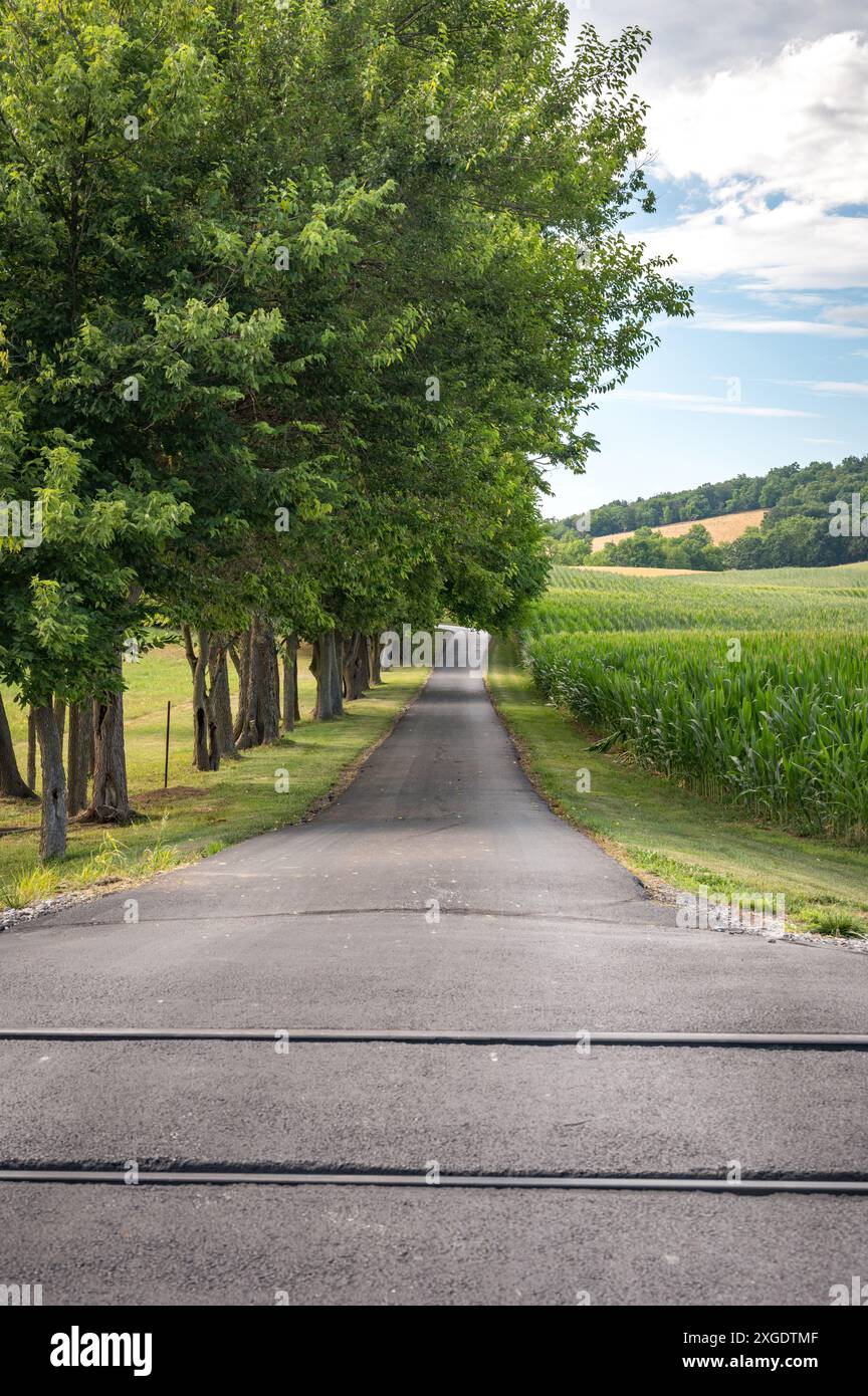 Bucolic hi-res stock photography and images - Alamy