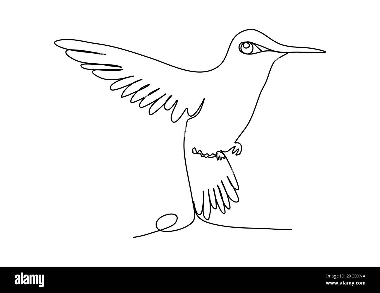 Hummingbird, one line drawing vector illustration Stock Vector Image ...