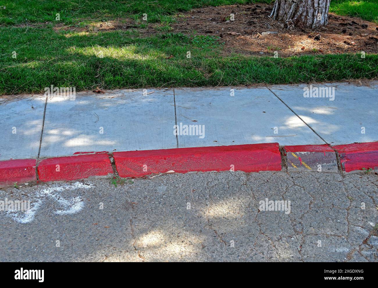 Hayward fault caused linear breaks in the concrete curb in the Central ...