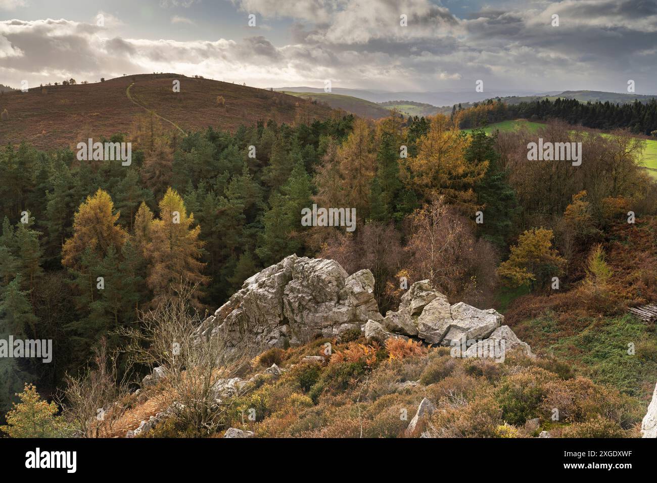 Dramatic scenery and views from the Stiperstones, an exposed quartzite ...