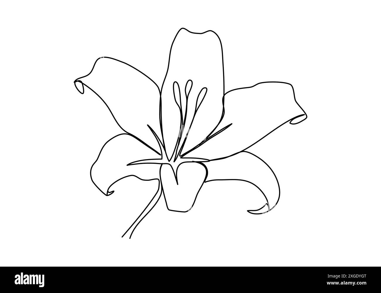 Flower, one line drawing vector illustration Stock Vector Image & Art ...