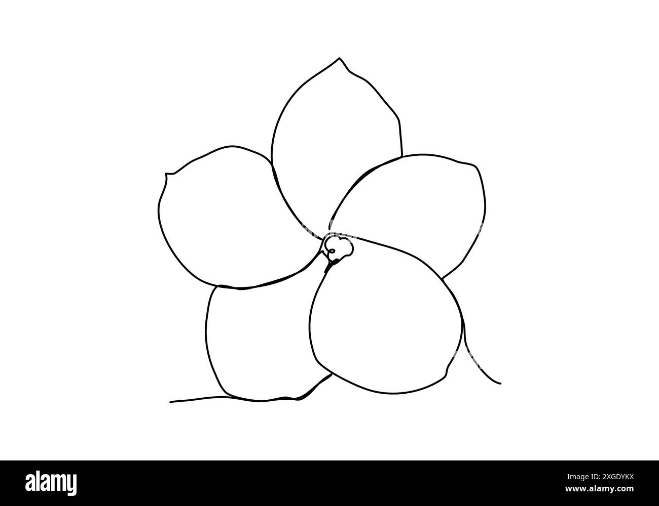 Flower, one line drawing vector illustration Stock Vector Image & Art ...