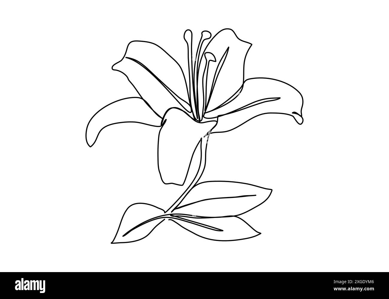 Flower, one line drawing vector illustration Stock Vector Image & Art ...