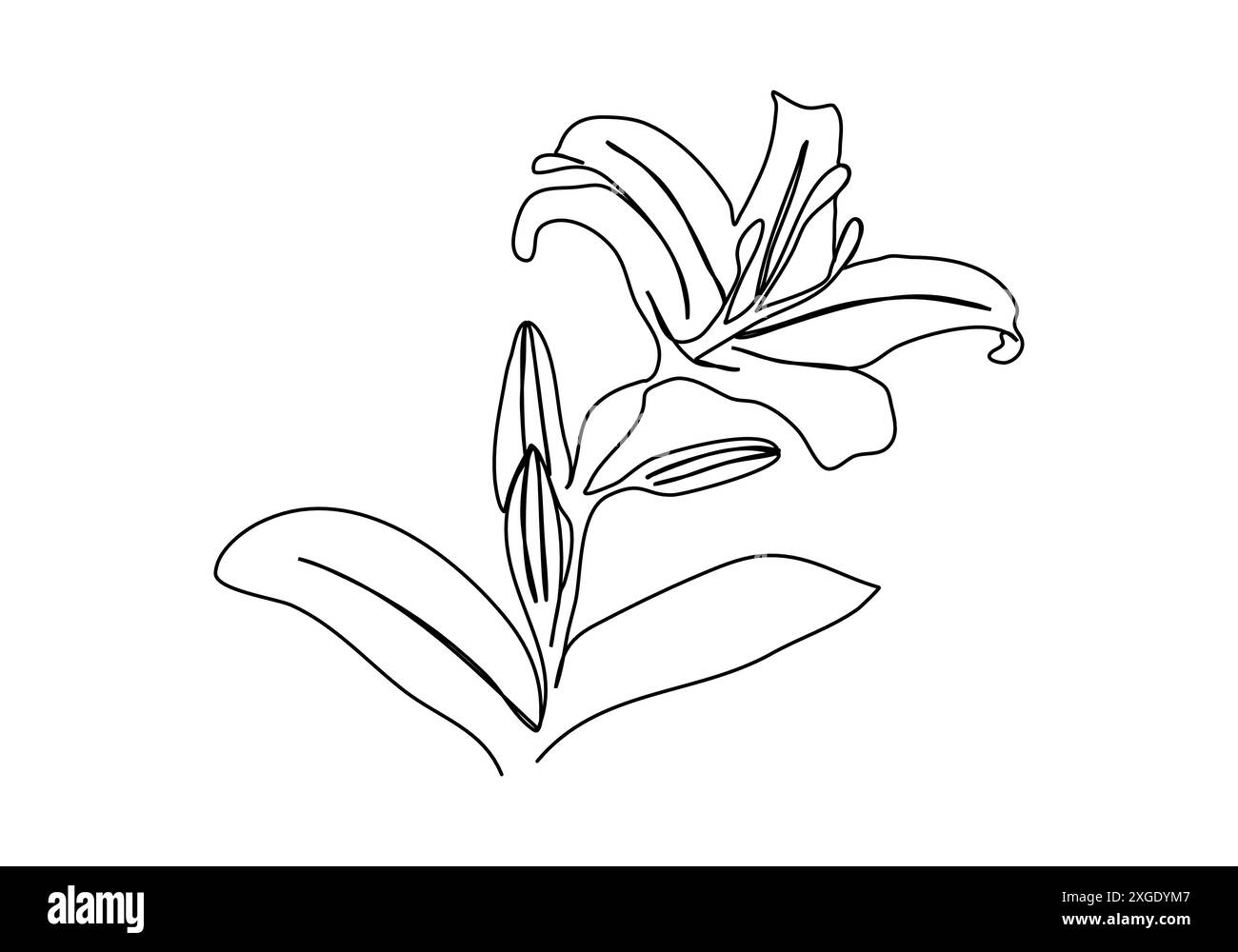 Flower, one line drawing vector illustration Stock Vector Image & Art ...