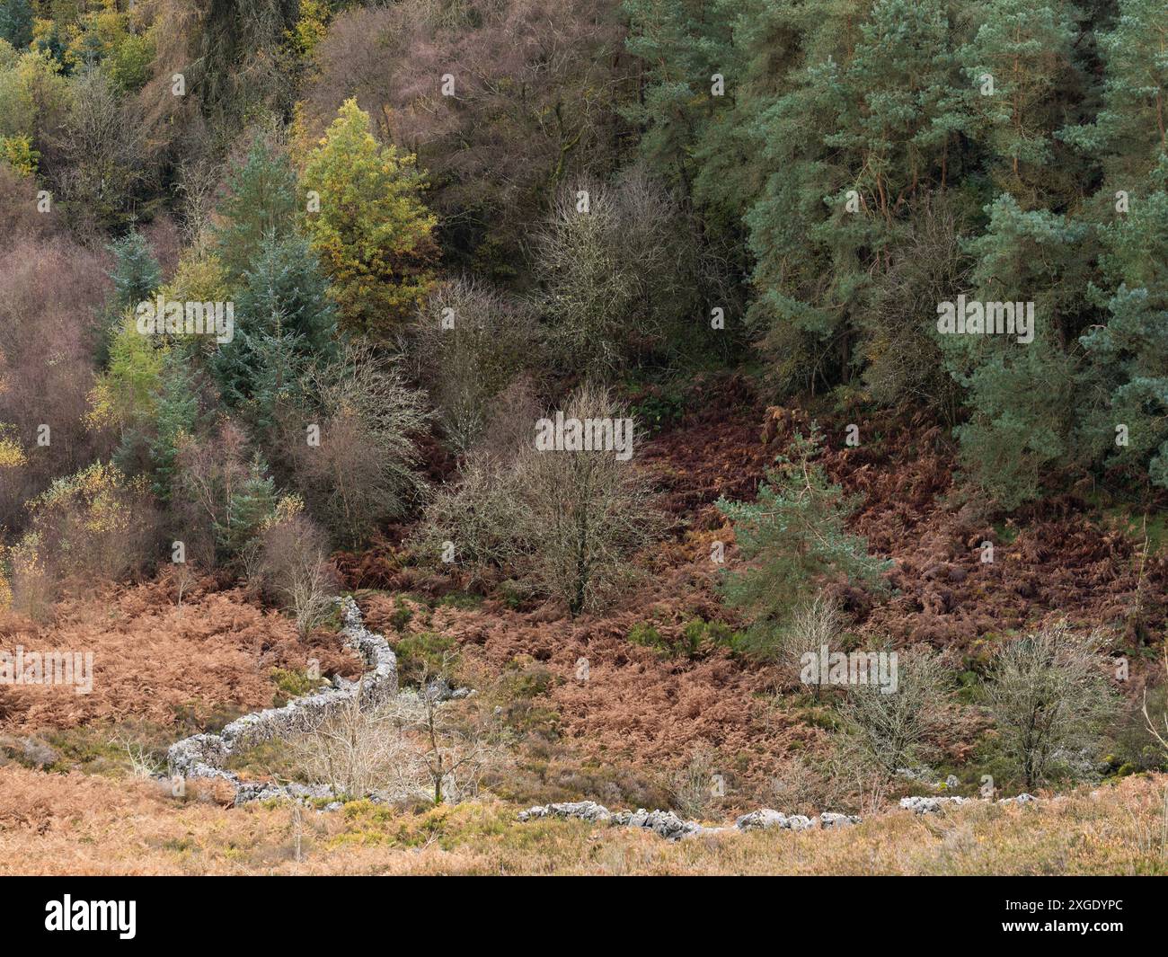 Dramatic scenery and views from the Stiperstones, an exposed quartzite ...