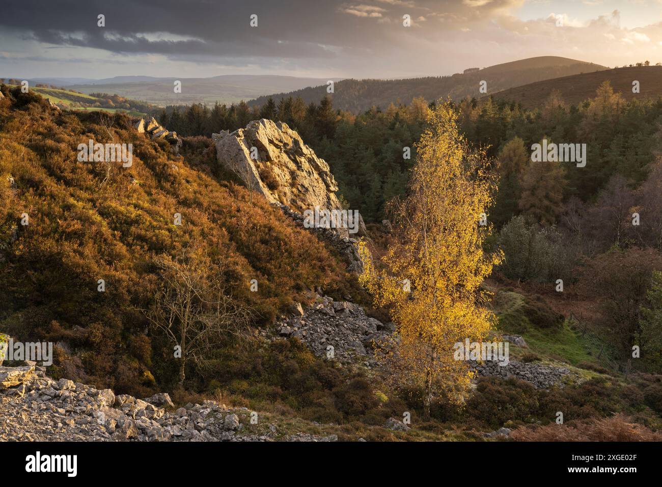 Dramatic scenery and views from the Stiperstones, an exposed quartzite ...
