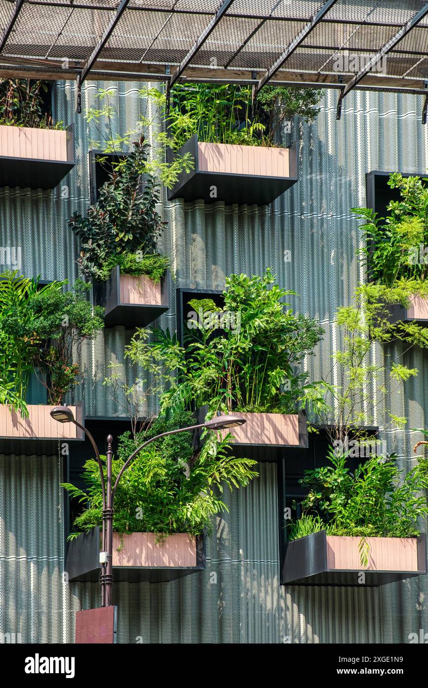 Vertical garden with green tropical plants growth on balcony on modern ...