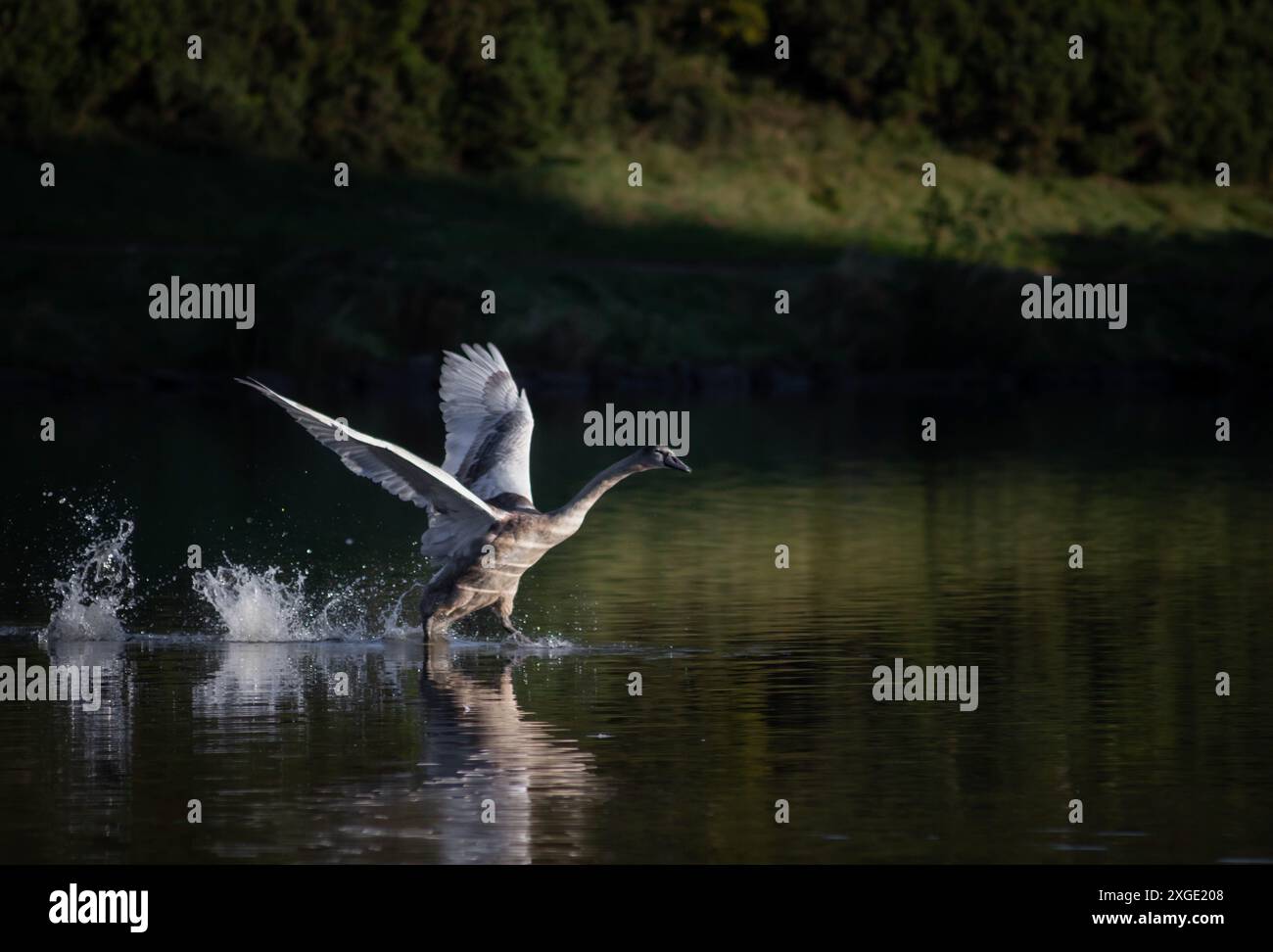 Flying over water wild river hi-res stock photography and images - Alamy