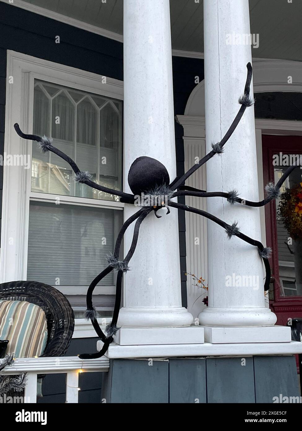 A large spider appears to crawl on the columns of a historic home near ...