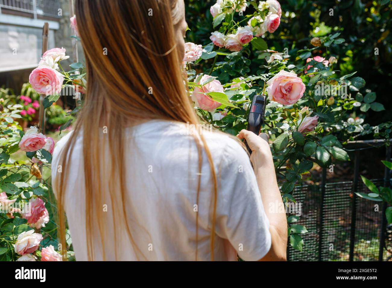 Rear view of bush house hi-res stock photography and images - Alamy