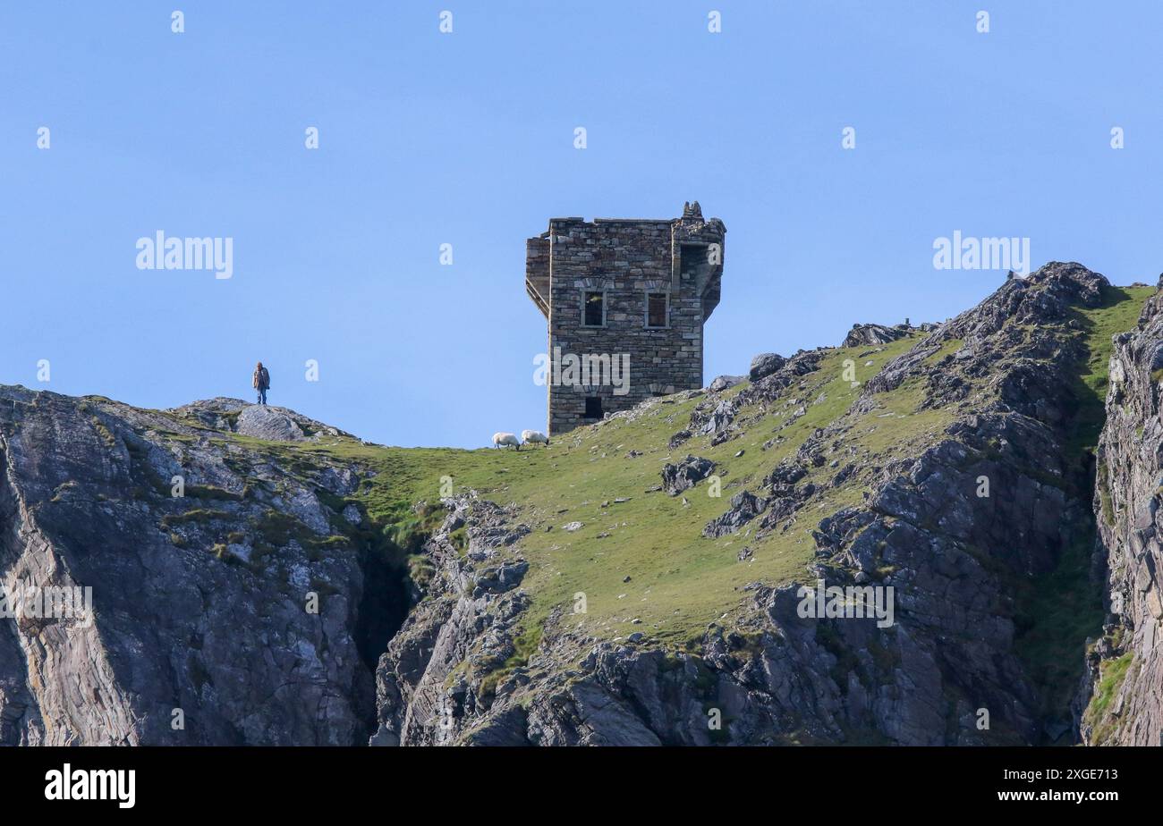 Man standing, sheep grazing on coastal headland Ireland beside ...