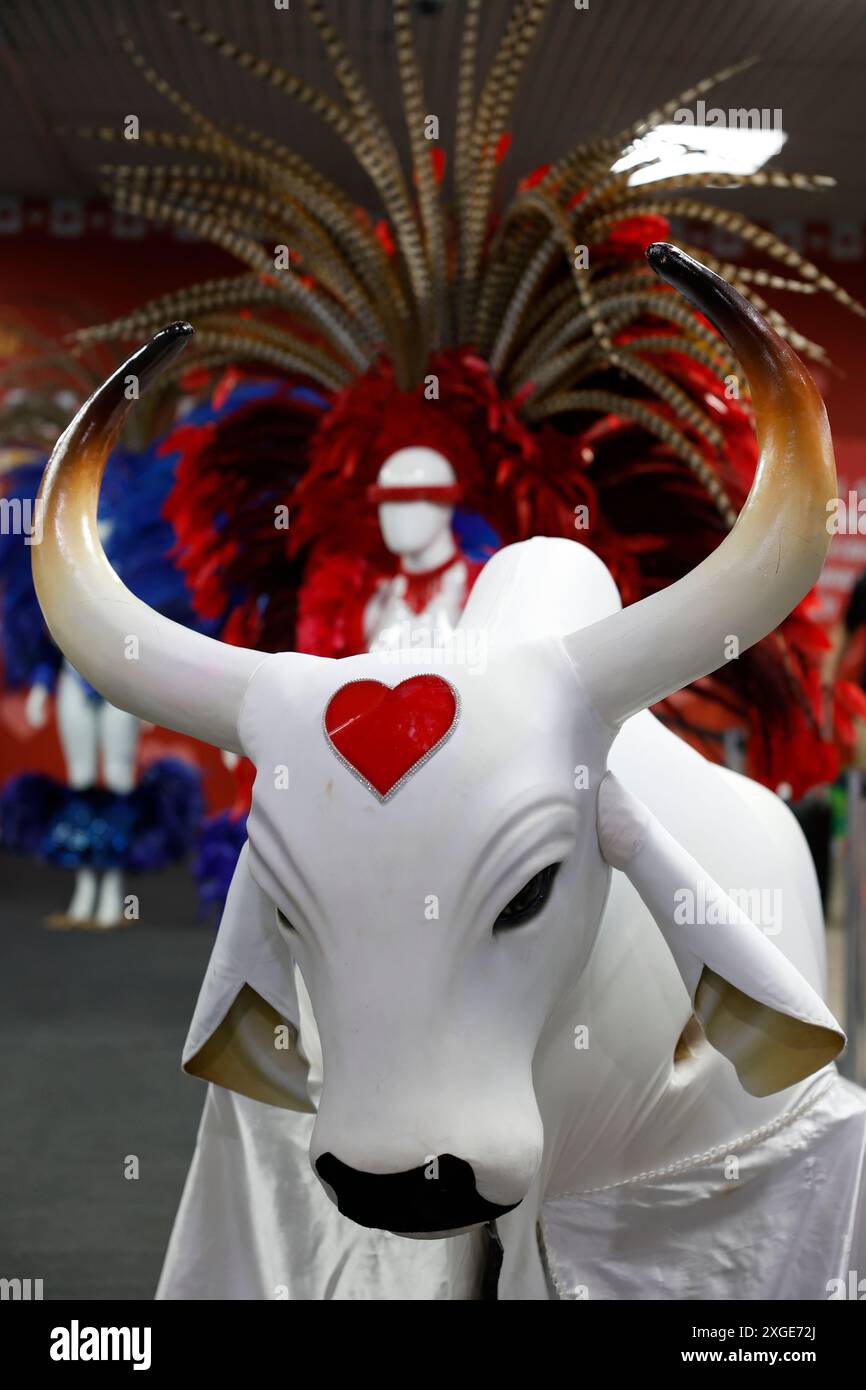 Festival de parintins boi bumba hi-res stock photography and images - Alamy