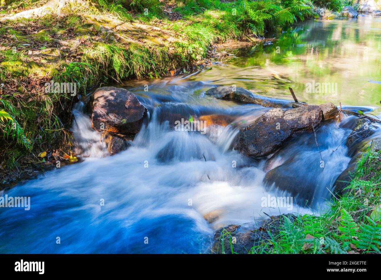 White water tumbling over rocky drop in stream in McLaren Falls Park ...