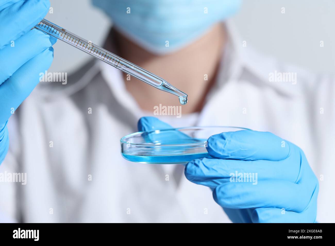 Scientist dripping liquid from pipette into petri dish, closeup Stock ...