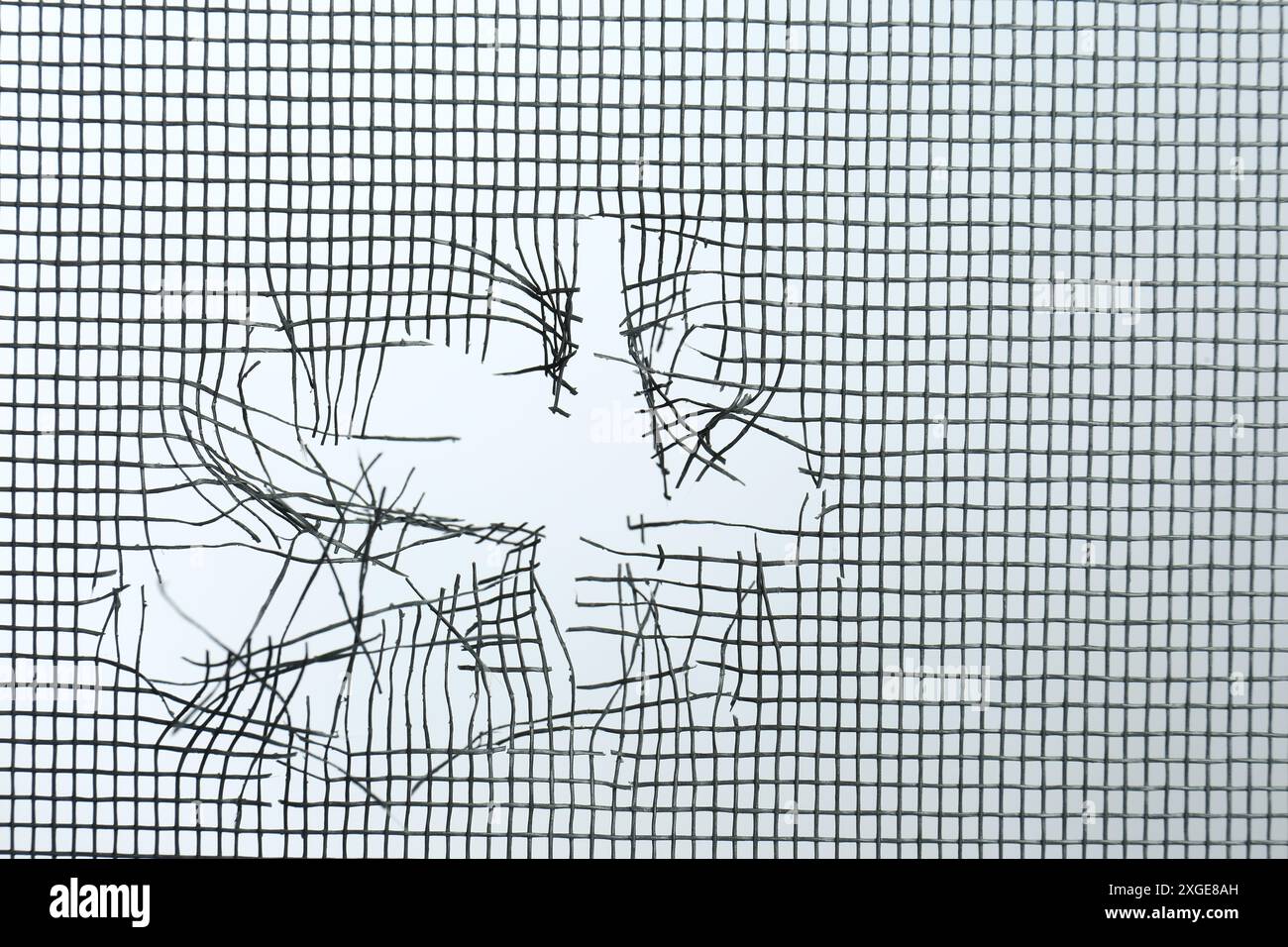 Torn window screen against white background, closeup Stock Photo - Alamy