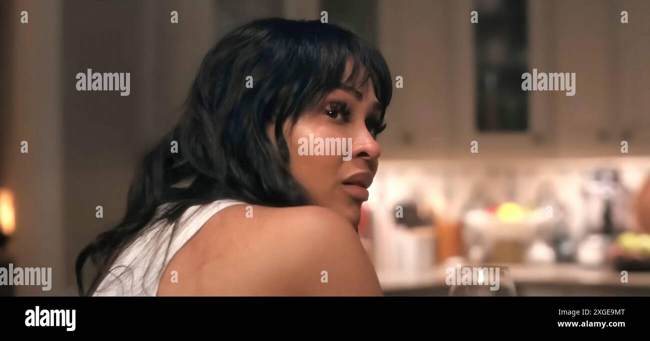 TYLER PERRY'S DIVORCE IN THE BLACK, (aka DIVORCE IN THE BLACK), Meagan ...