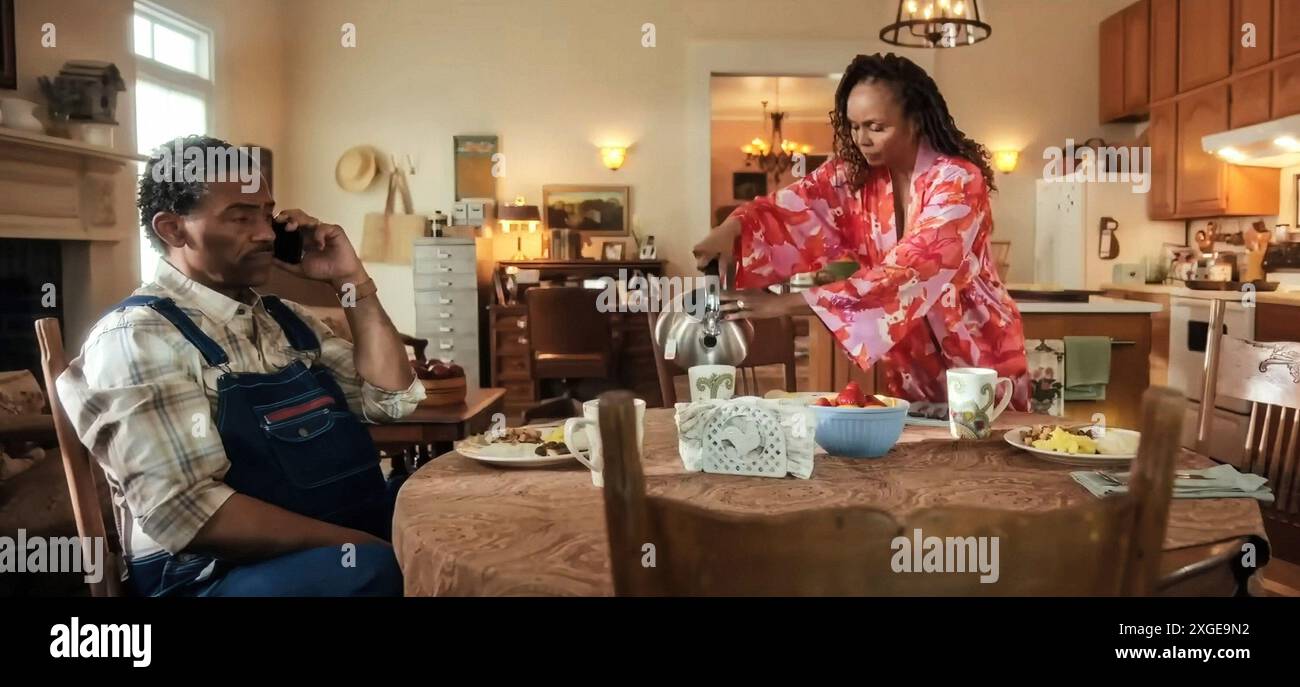 TYLER PERRY'S DIVORCE IN THE BLACK, (aka DIVORCE IN THE BLACK), from ...