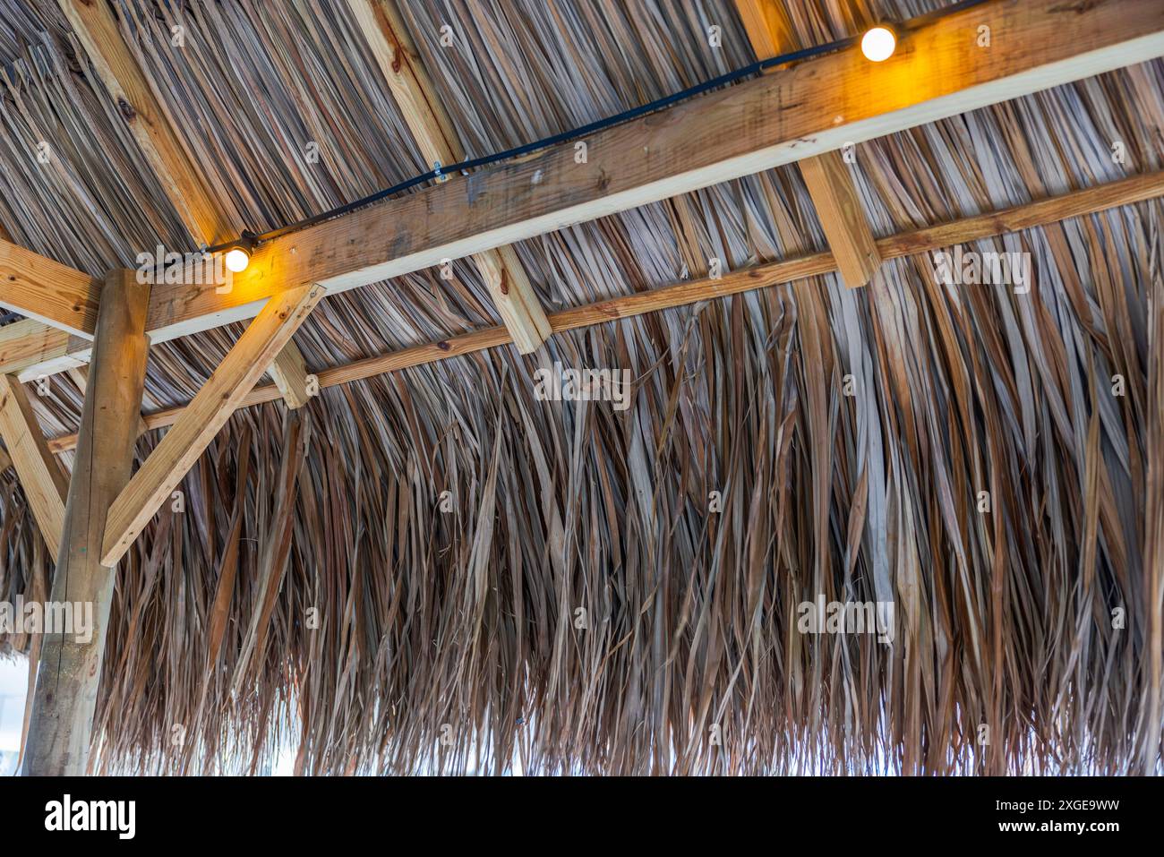Close-up view of thatched roof structure with wooden beams and string ...