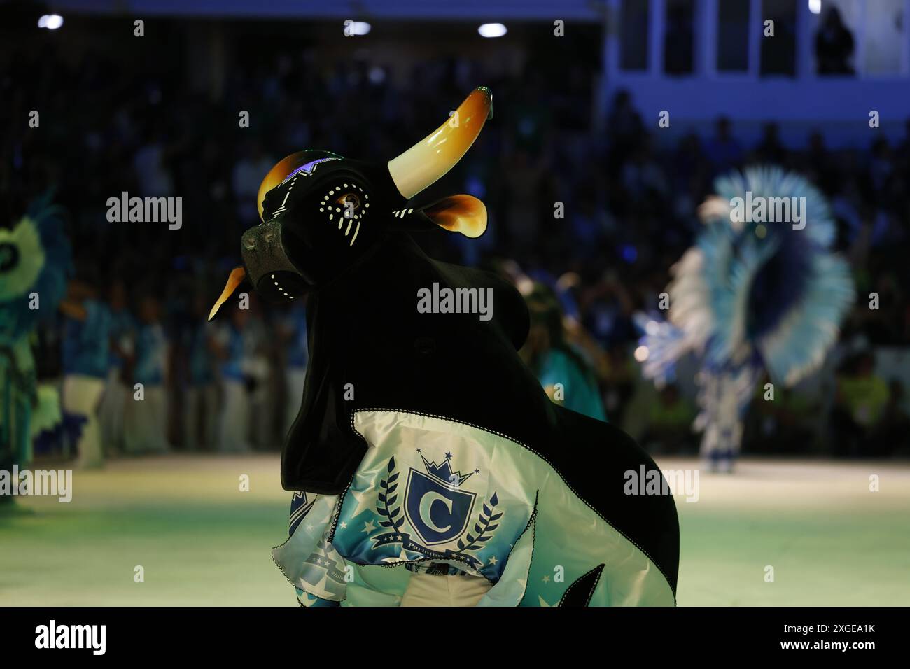Members of Boi Caprichoso bumba group perform at Bumbodromo on the 57th ...