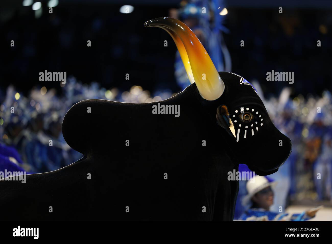 Members of Boi Caprichoso bumba group perform at Bumbodromo on the 57th ...