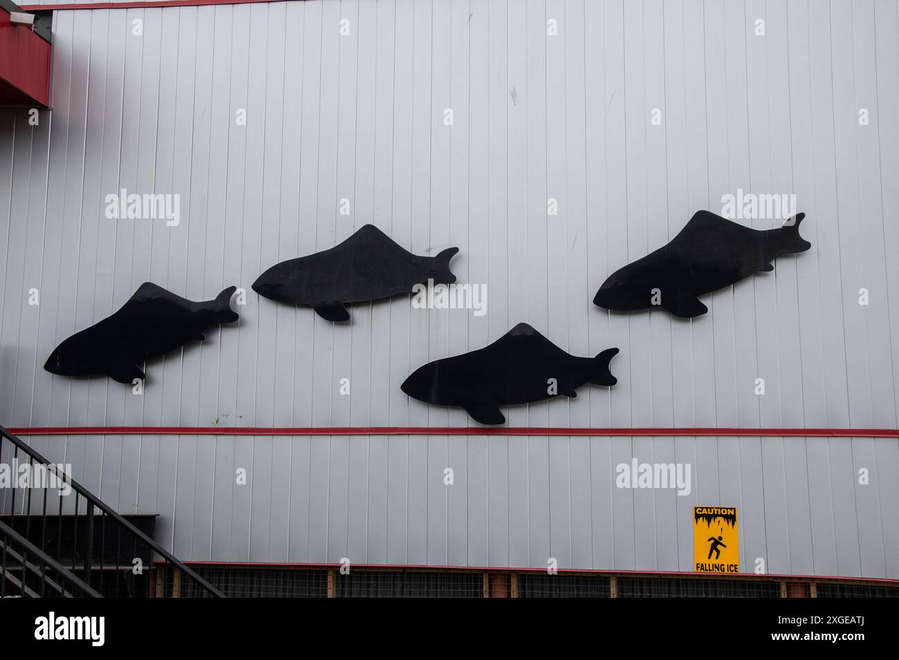 Fish mural on the Service Canada building on Mivvik Street in Iqaluit ...