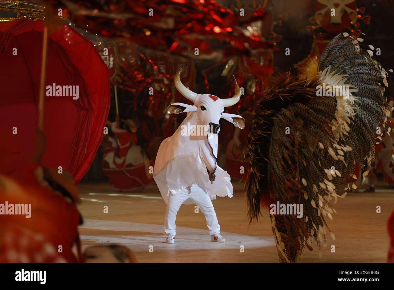 Members of Boi Garantido bumba group perform at Bumbodromo on the 57th ...