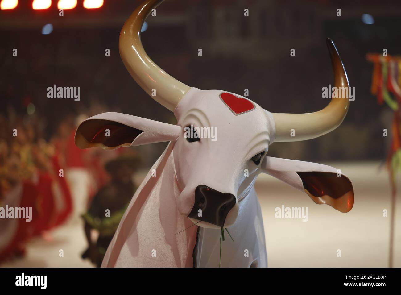 Members of Boi Garantido bumba group perform at Bumbodromo on the 57th ...