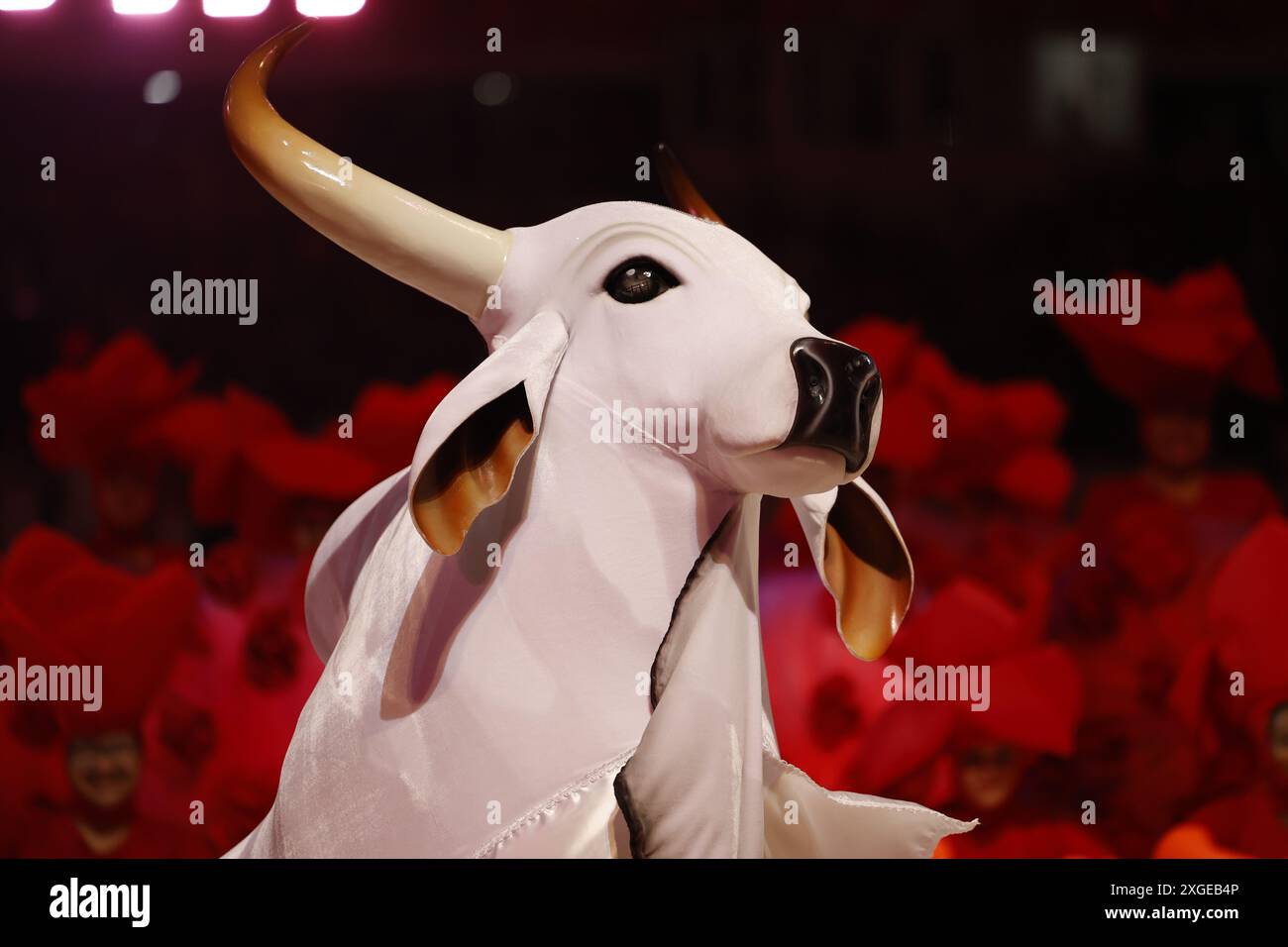 Members of Boi Garantido bumba group perform at Bumbodromo on the 57th ...